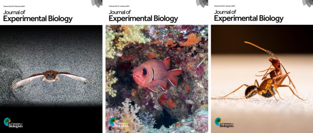 视频详解如何向Journal of Experimental Biology投稿 - The Company of Biologists